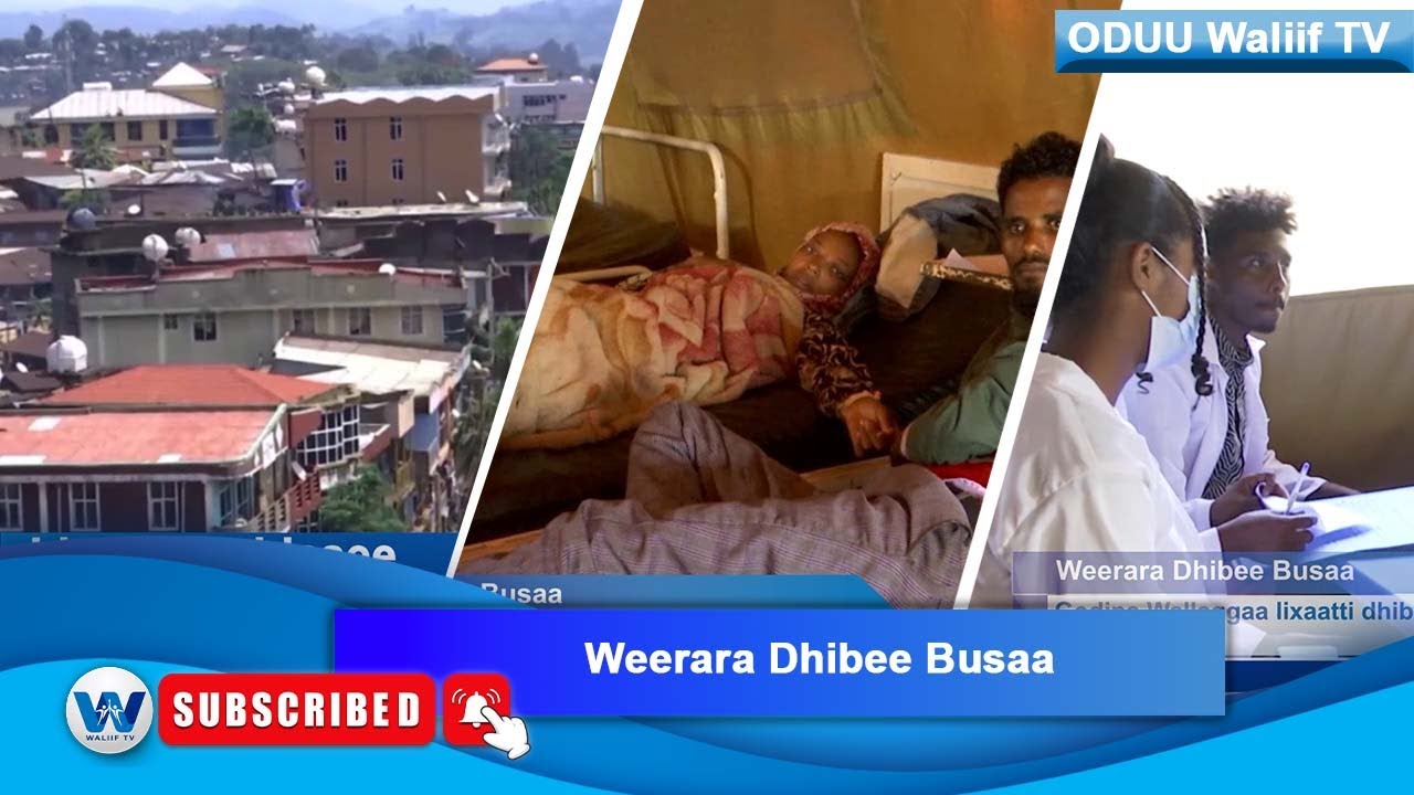 Weerara Dhibee Busaa (Adoolessa 23, 2024 ) Finfinnee - YouTube