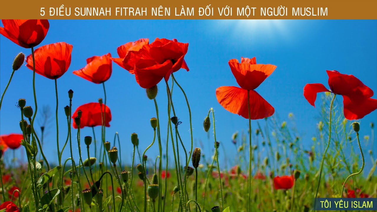 5 Điều Sunnah Fitrah Nên Làm Đối Với Một Người Muslim - YouTube