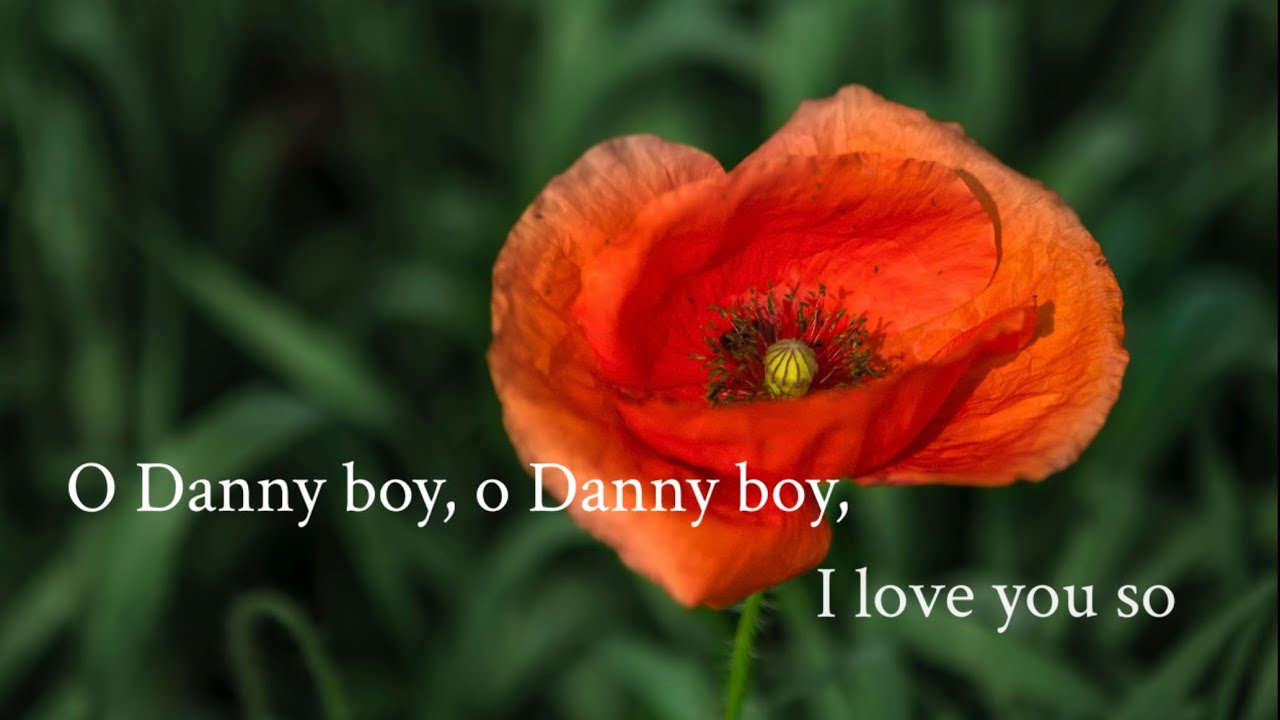 O Danny Boy | lyrics | Minor key version | Irish traditional song - YouTube