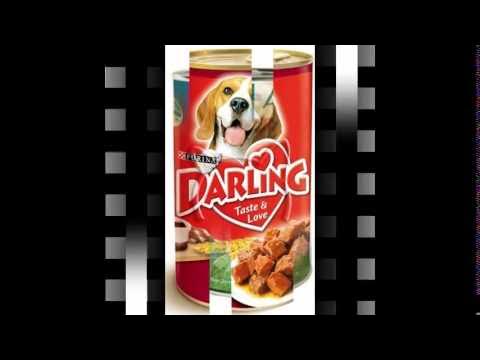 беркли консервы для собак - YouTube