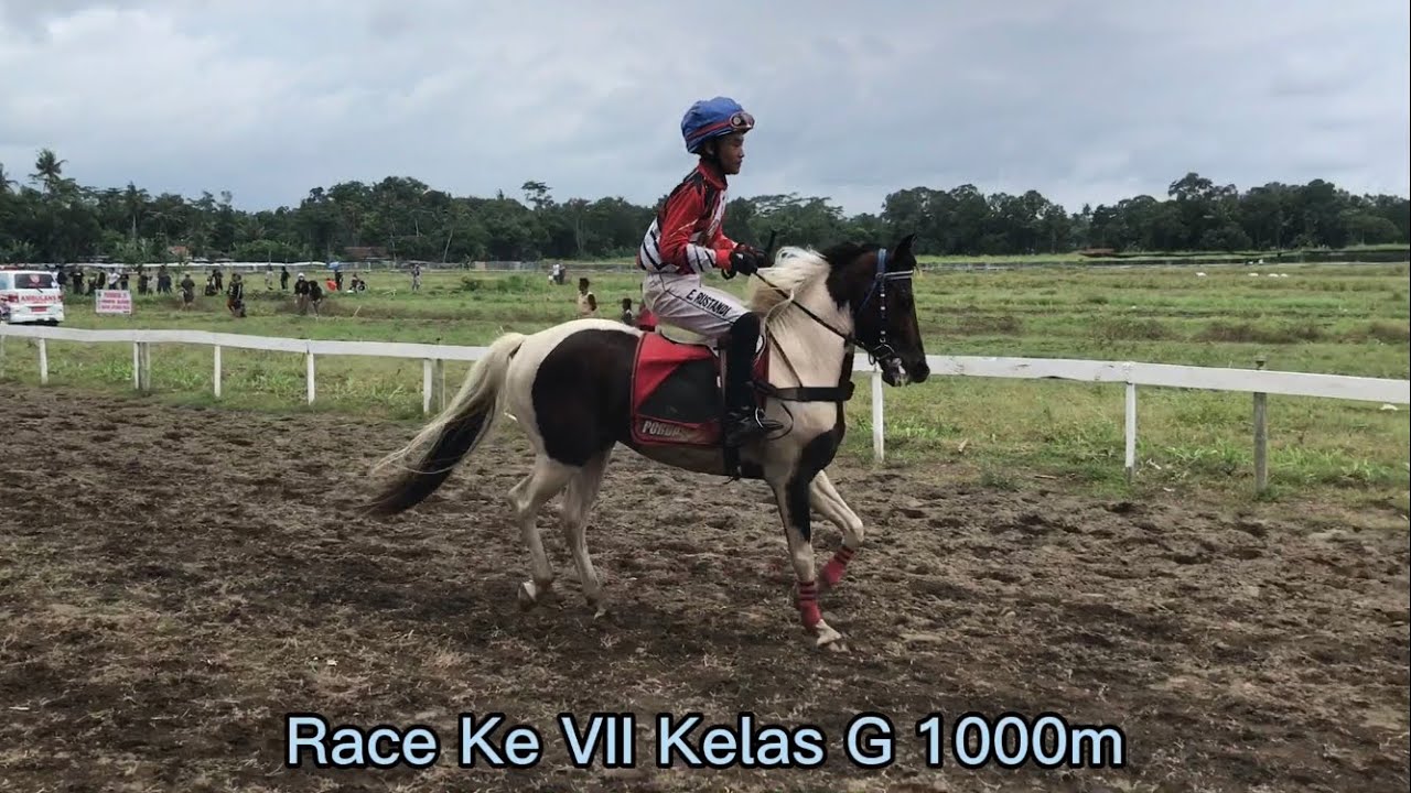 Race Ke VII KELAS G 1000m | PACUAN KUDA AMBALRESMI 2024 - YouTube