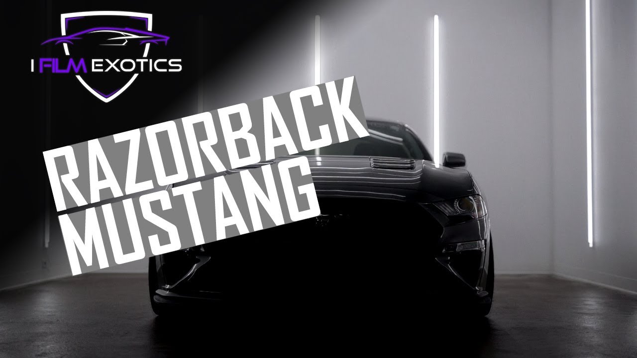Joe Myers Ford Exclusive Razorback Mustang - YouTube