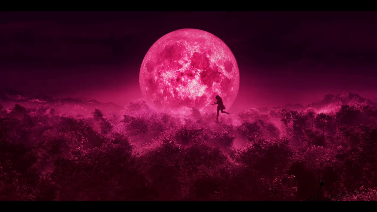 Bulbbul Movie Best Part of Intro | The Great Concept Movie - YouTube