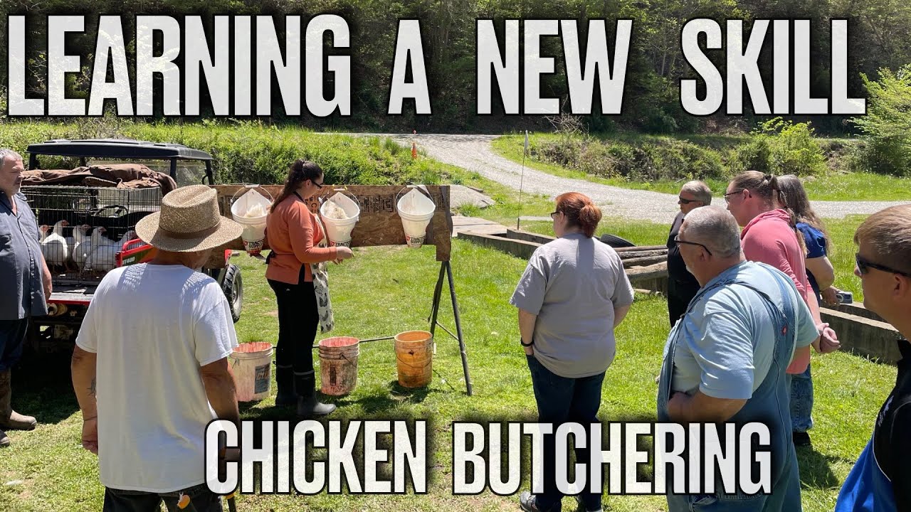 HOMESTEAD SKILLS Farm to Table // Chicken Processing VLOG - YouTube