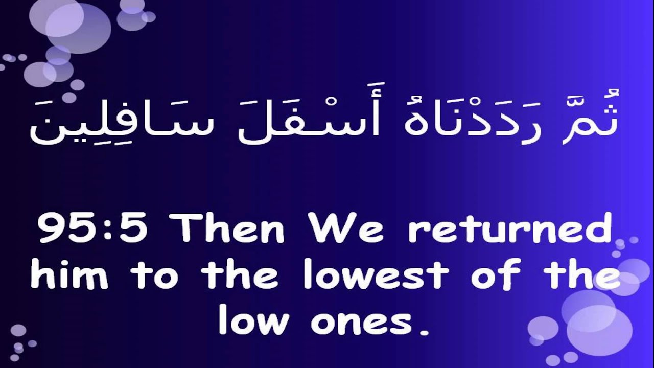 QR 241 Surah 095 001 008