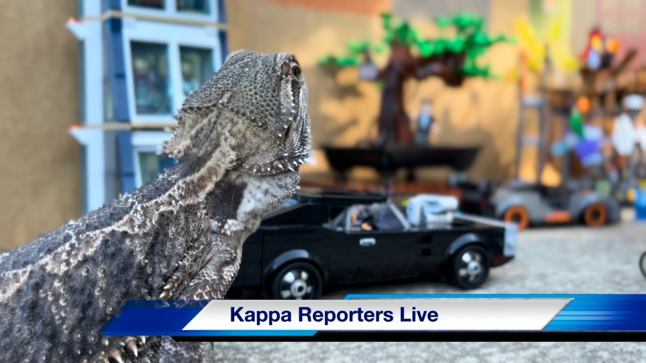 Kappa Reporters Good News Network Skit (in collaboration with ...