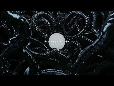 Anyma - Pictures Of You (KREAM Remix)