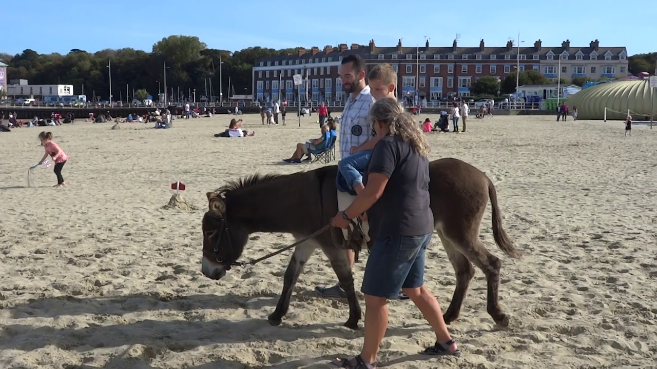 Donkey Ride Weymouth - YouTube