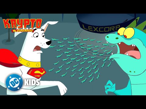 🦎 Reptile Rampage! | Krypto The Superdog | #KidsCartoons @dckids