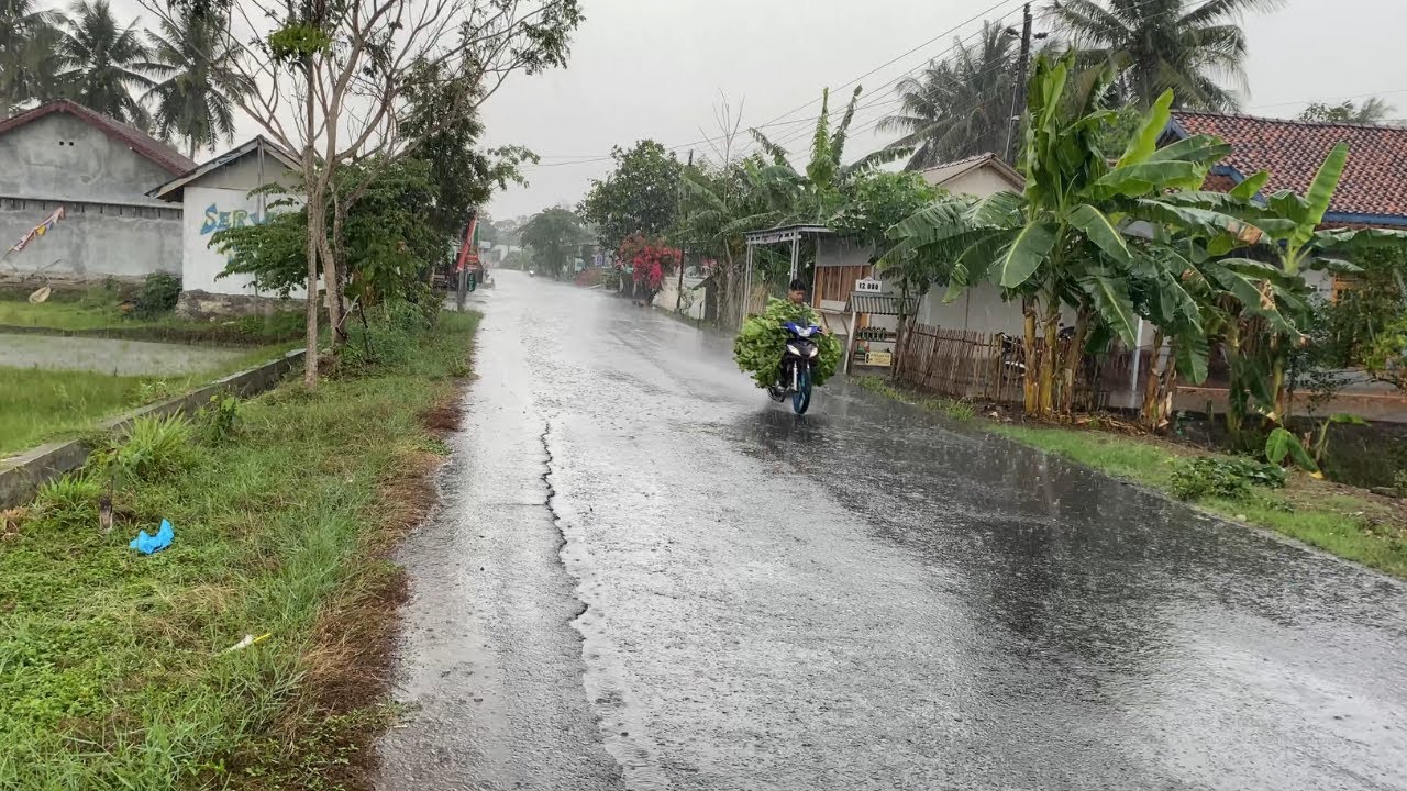 Heavy Rain at the Beginning of the Rainy Season | Super Heavy Rain and ...
