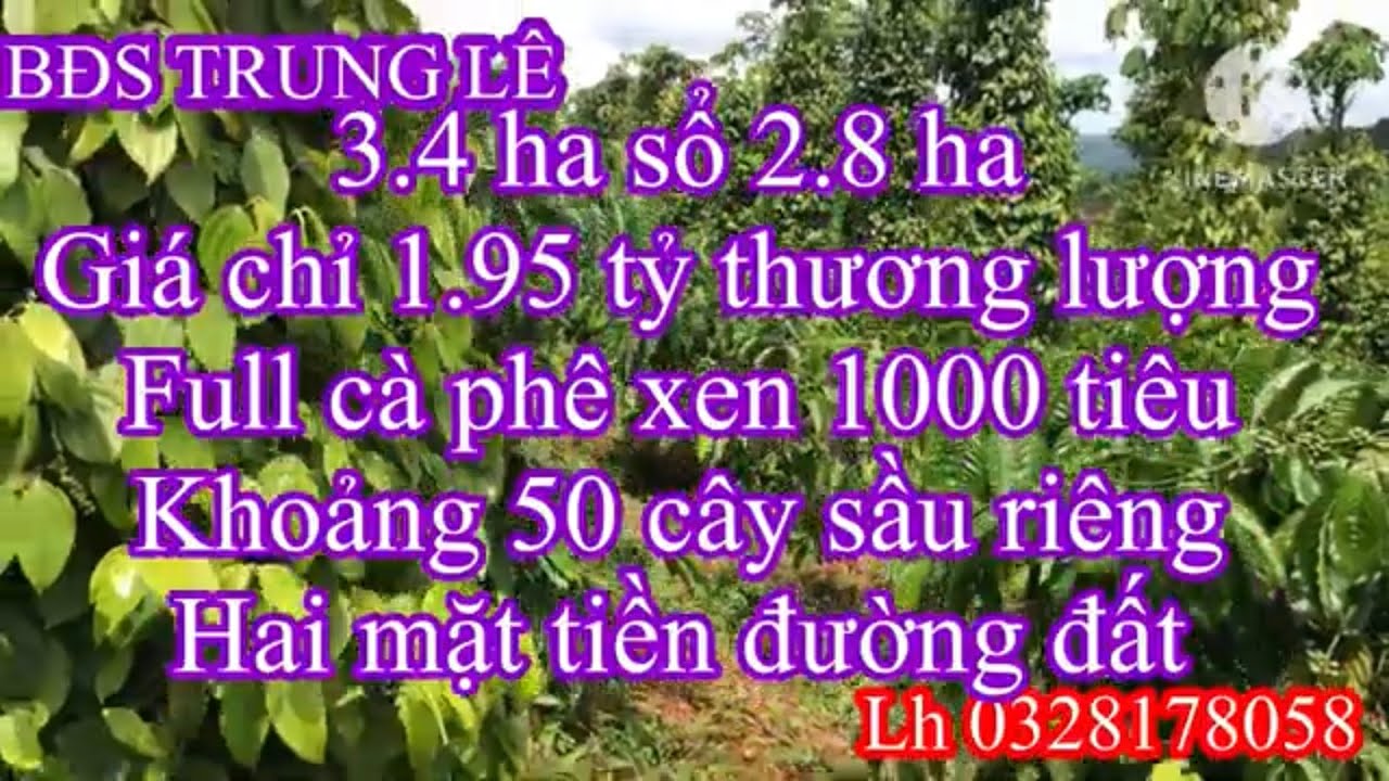 NG P B n R y 3 4 Ha S 2 8 Ha Ngu n Thu M nh YouTube