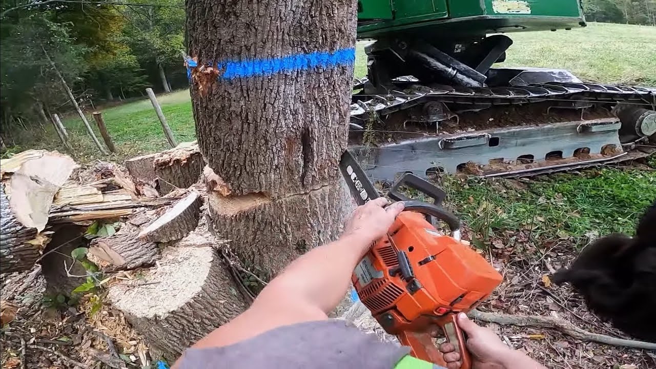 New Job.. Solo Push Trees!! - YouTube