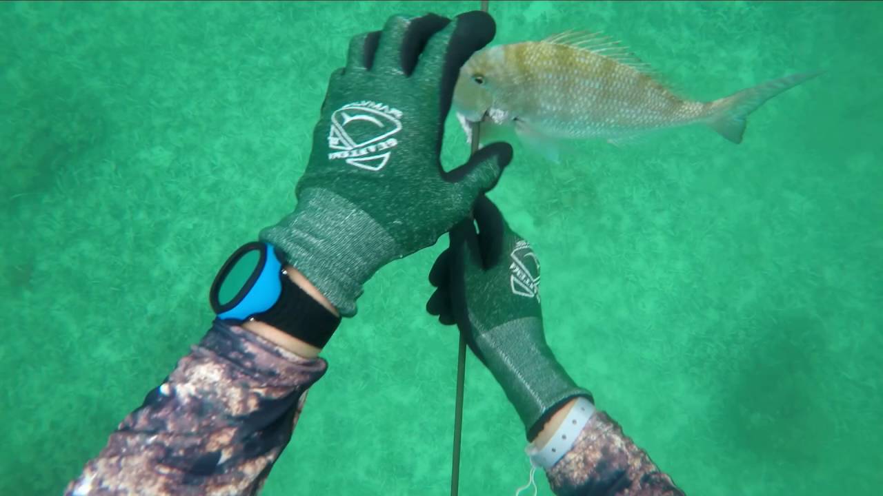 Atlantic hunt. Rob Allen tuna 110. Spearfishing... Snapper barracoda ...