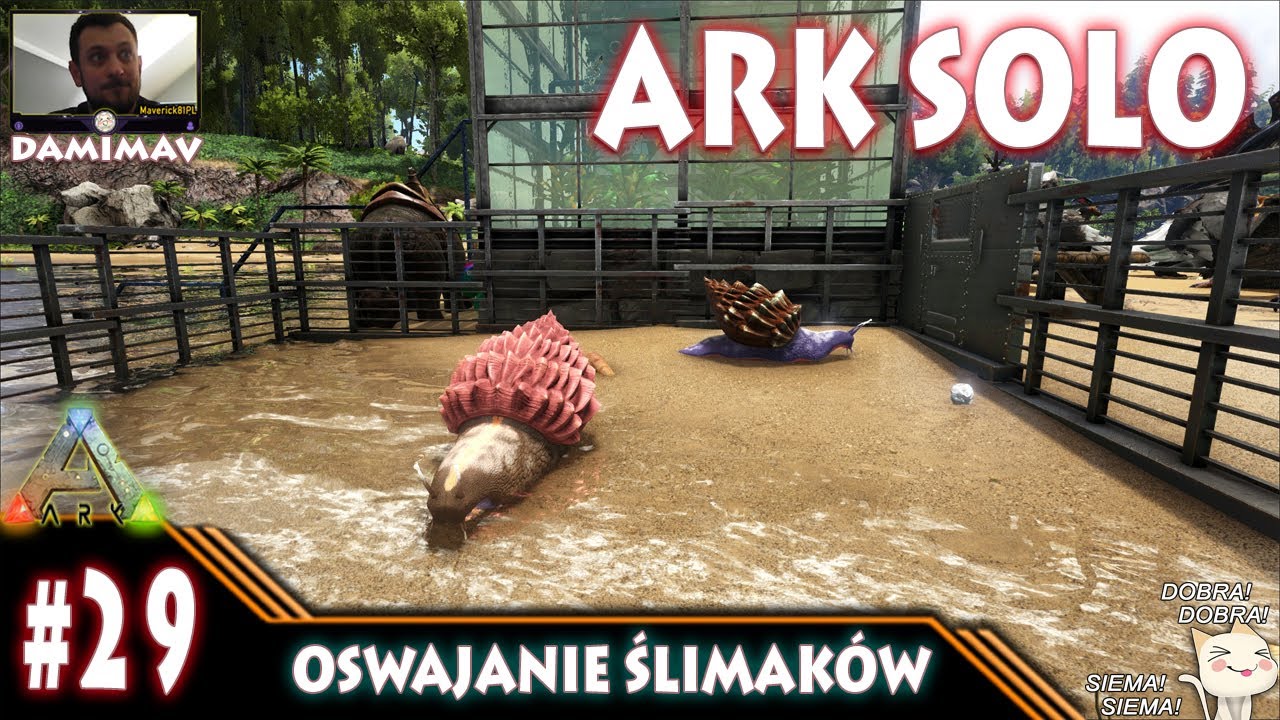 ARK SOLO SOLO SOLO SOLO #29 OSWAJANIE ŚLIMAKÓW #arksurvivalevolved #ark ...