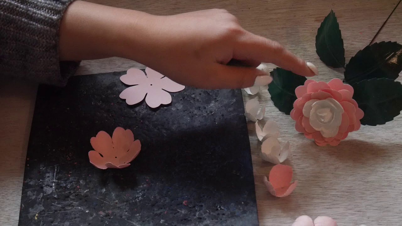 Camelia Tutorial Part 1 - YouTube