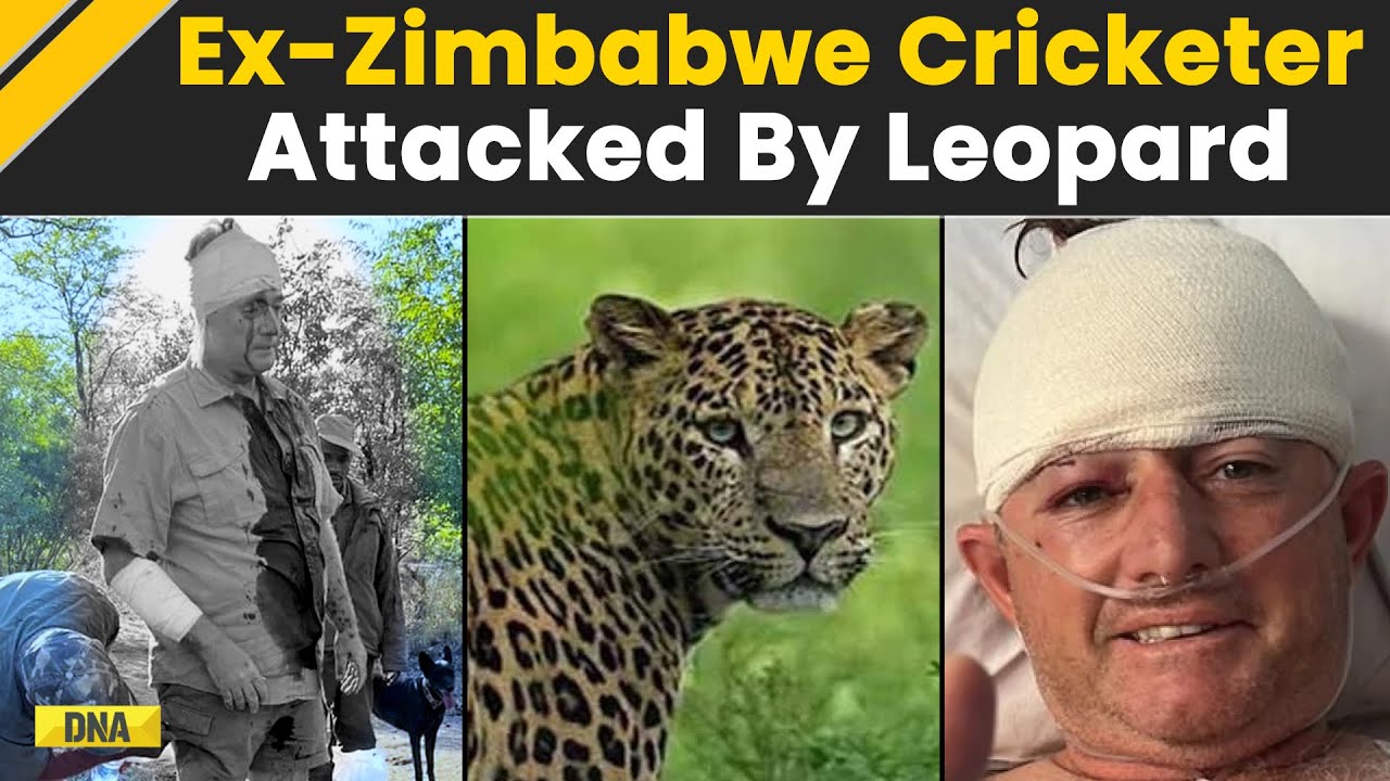 1999 World Cup Star Escapes Death, Former Zimbabwe Cricketer Guy ...