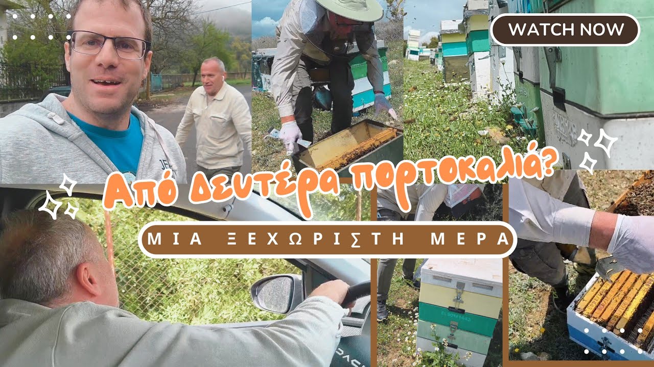 Επιθεώρηση μελισσιων μαζί με μελισσοδάσκαλο - YouTube