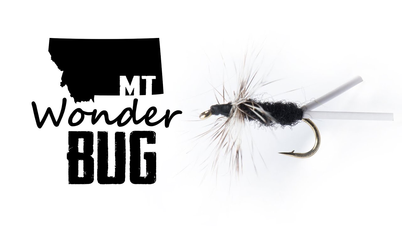 Montana Wonder Bug - YouTube