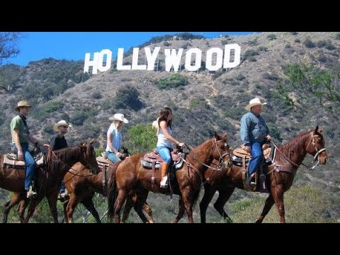 Horse Riding On Hollywood Hills - TMZ Celeb Tour - Red Carpet Moments ...