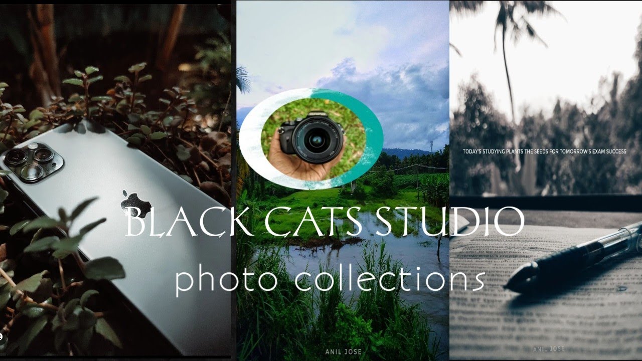🎥'BLACK CATS STUDIO".🎥 7 MONTHS PHOTO COLLECTION.|SNAPSEED EDITING|🎥 - YouTube