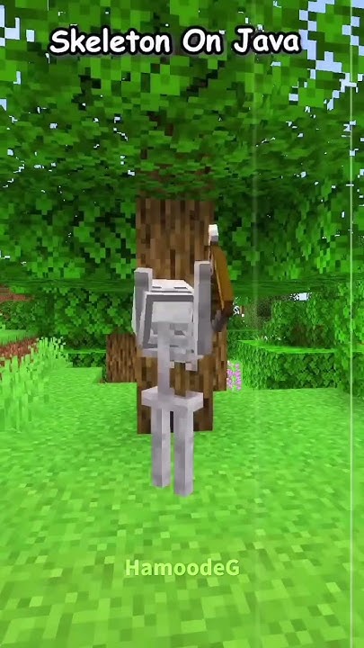 Java Skeleton VS Bedrock Skeleton💀 - YouTube
