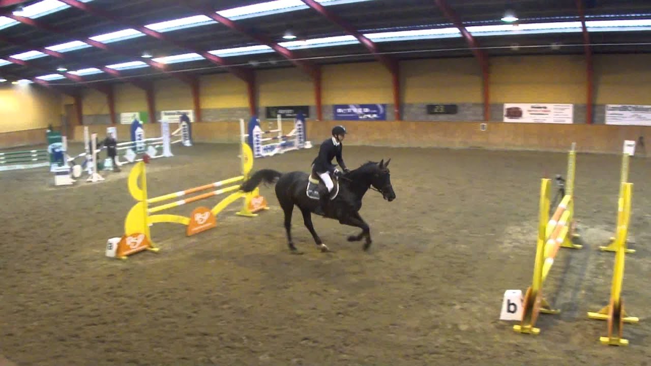 Sort hest lb Hillerød - YouTube