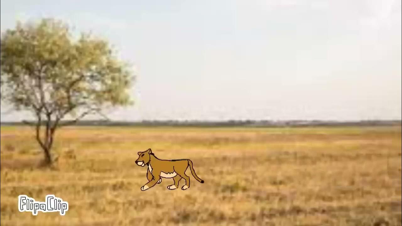 Lion walk cycle animation - YouTube