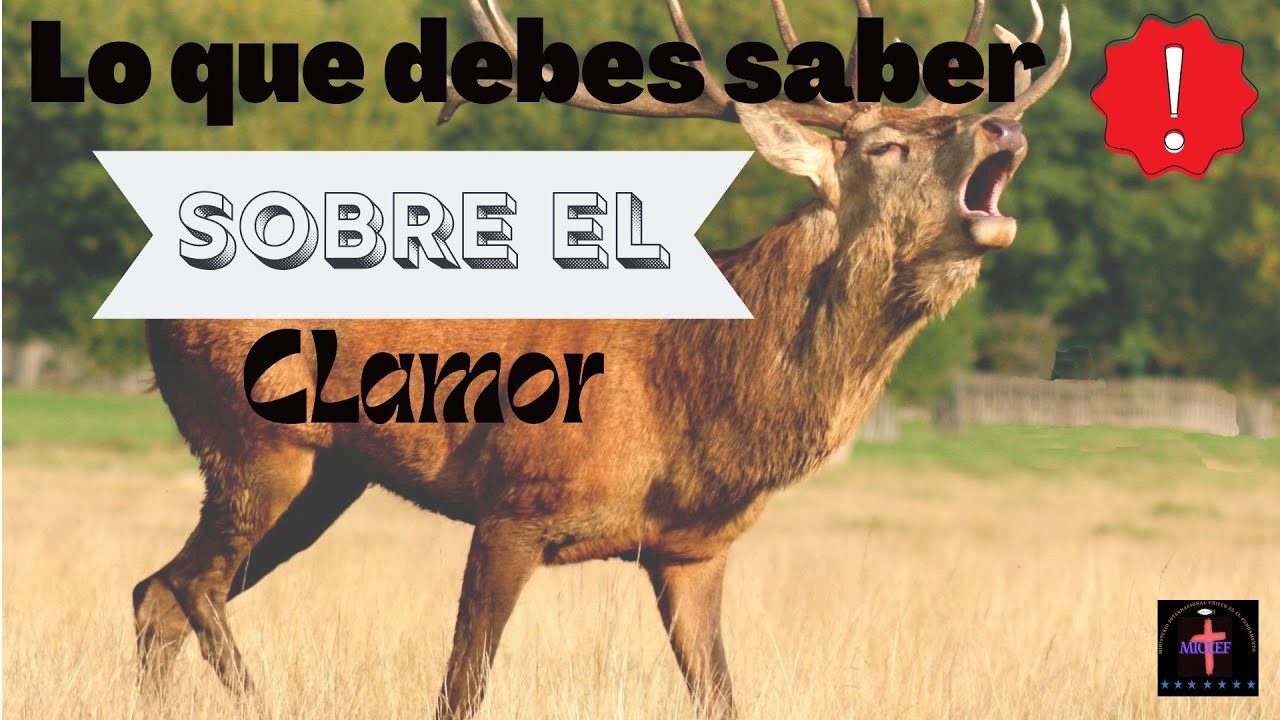 ¡El secreto de clamar a Dios, Explicado en menos de 5 minutos! ||MICEEF ...