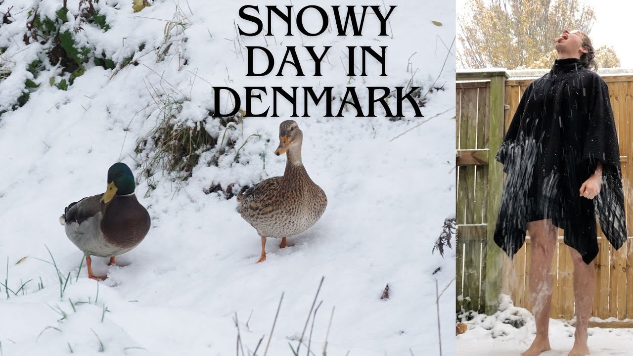 Cinematic snow in Denmark - YouTube