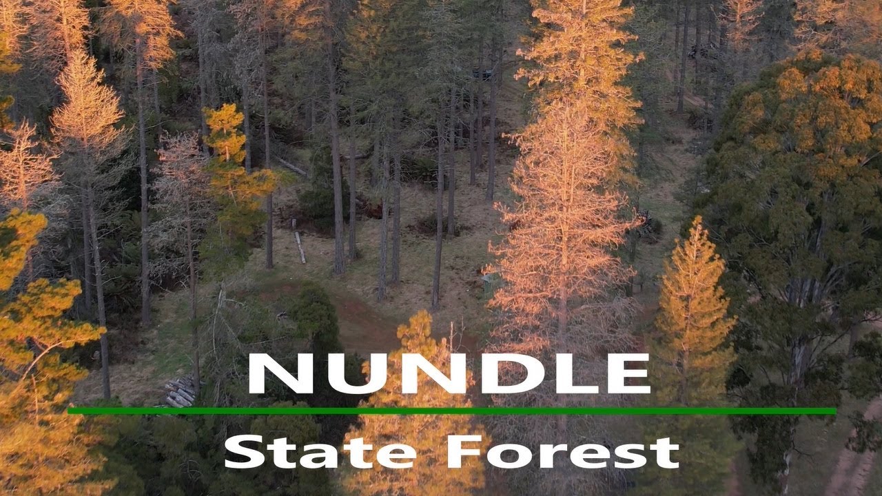 Ponderosa Park Campground. Nundle State Forest, NSW. - YouTube