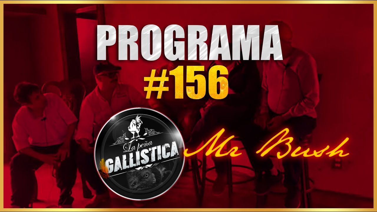 programa 156 - ENTREVISTA CON MR BUSH - YouTube
