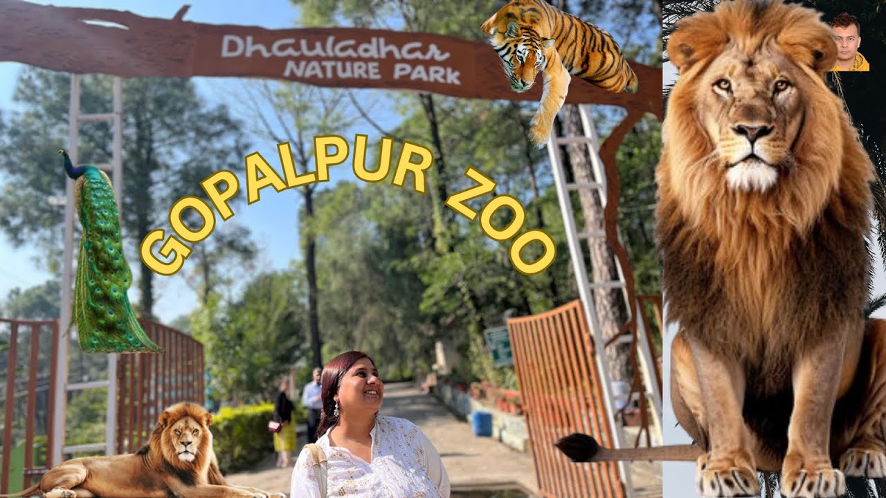 Gopalpur Zoo | Dhauladhar Nature Park | Palampur | Kangra | Zoo ...