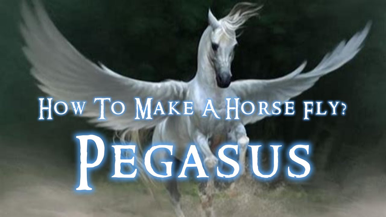 Pegasus: How To Make A Horse Fly? - YouTube