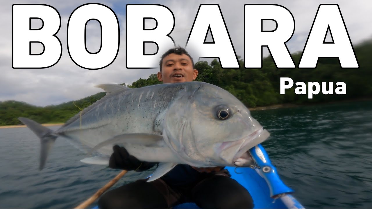 STRIKE MONSTER BOBARA PAPUA ON LIGHT POPPING 🎣🔥 - YouTube
