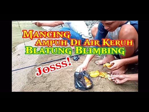 Mancing,Kali PEMALI PRUWATAN,Blatung Blimbing# umpan mancing#mancing mania