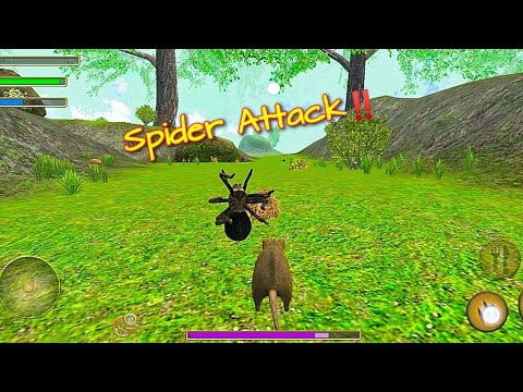 Tikus vs Laba Laba‼️Mouse Simulator | Mouse vs Spider - YouTube