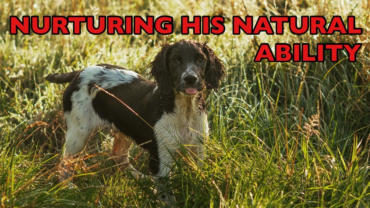 NURTURING THE PUPS NATURAL INSTINCTS - YouTube