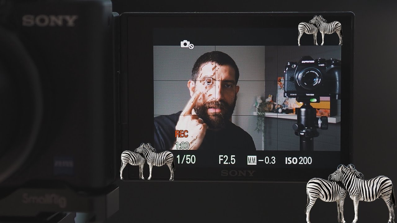 Sony ZV-1: how to use ZEBRAS to expose your videos - YouTube