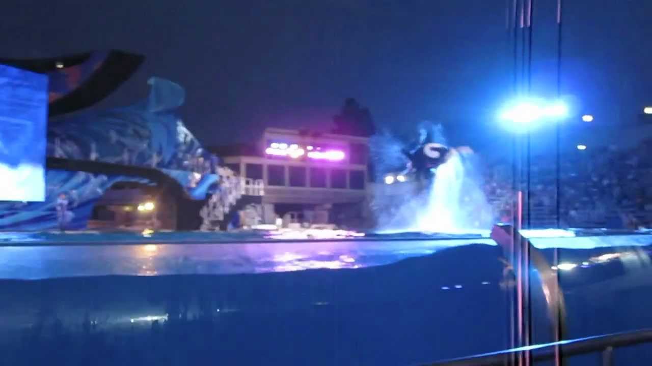 Shamu One Ocean Show at Night • SeaWorld San Diego • 2012 - YouTube