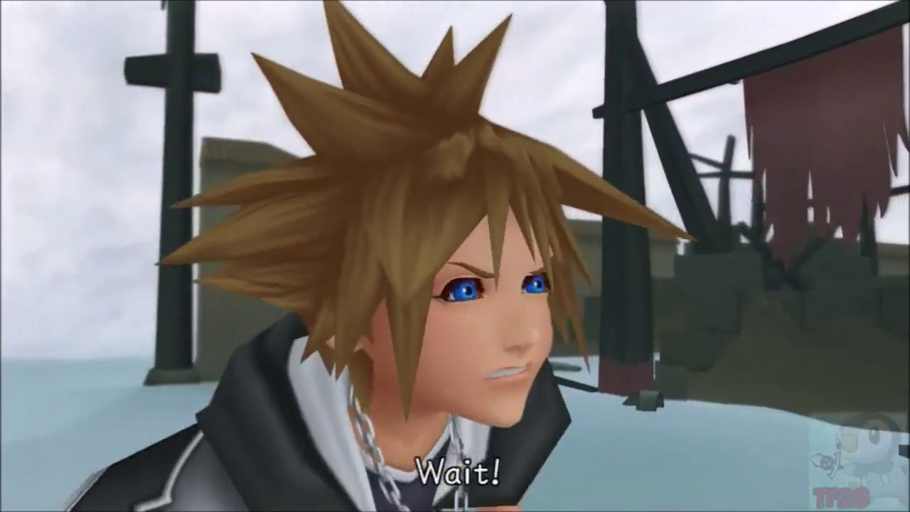 Sora's Adventure Special-Rollercoaster of Friendship part 18 (Remake ...