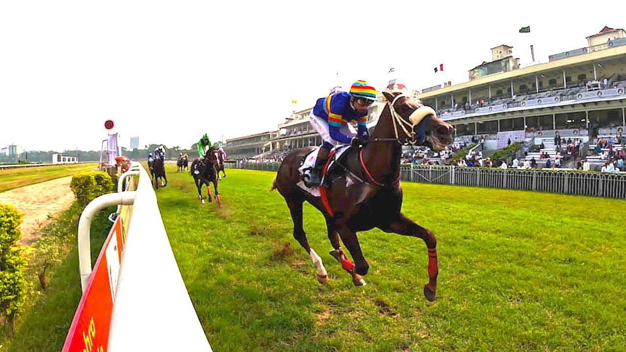 Delhi Race Club Million 2024 Winner | Star Prosperity - YouTube