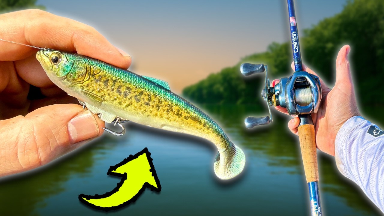 DON’T Make These River Fishing MISTAKES! Top Tips To Catch More Fish ...