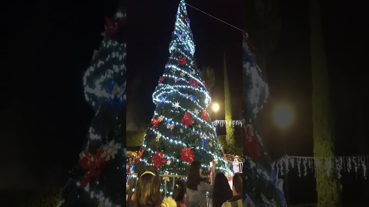 Ensendido del árbol de nabidad - YouTube