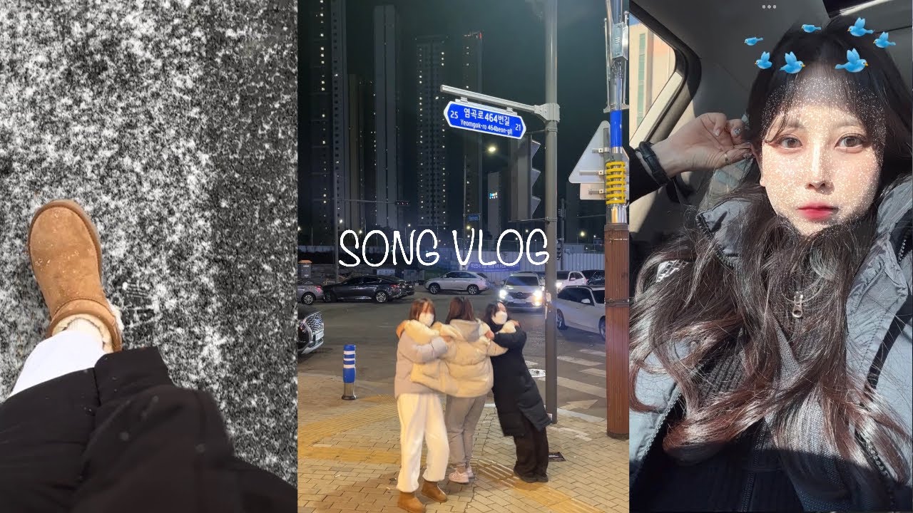 🎄song Vlog 직장인 브이로그 직장인 건강검진 앞머리 파마 케이스티파이 케이스 음주 브이로그 인생네컷 진순자