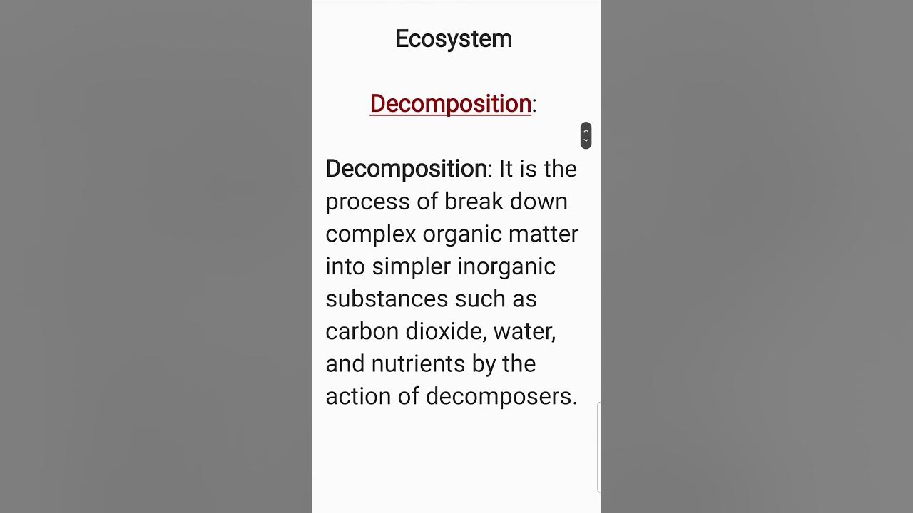 What is Decomposition? Class 12 Biology Chapter 14 - YouTube