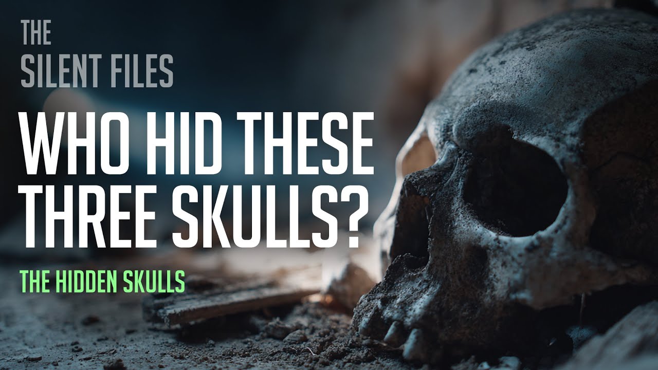 Unveiling the Mystery: The Chilling Story of Three Found Skulls | The ...