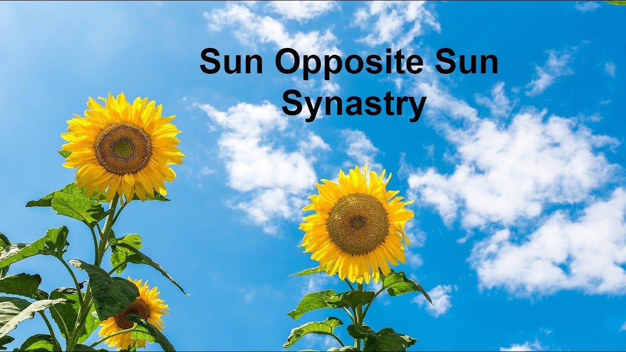 Sun Opposite Sun Synastry - YouTube
