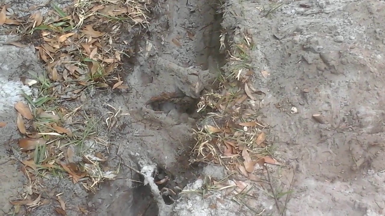 Diggin a ditch Boss! - YouTube