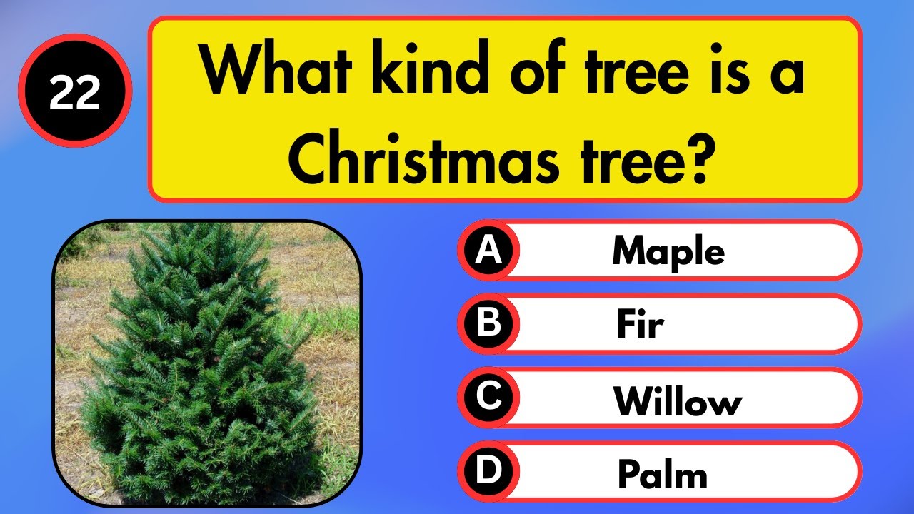 The Ultimate Christmas Quiz! 25 Questions to Test Your Holiday ...