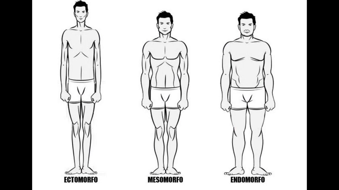 Ectomorfo, endomorfo ou mesomorfo: como saber qual seu tipo físico ...